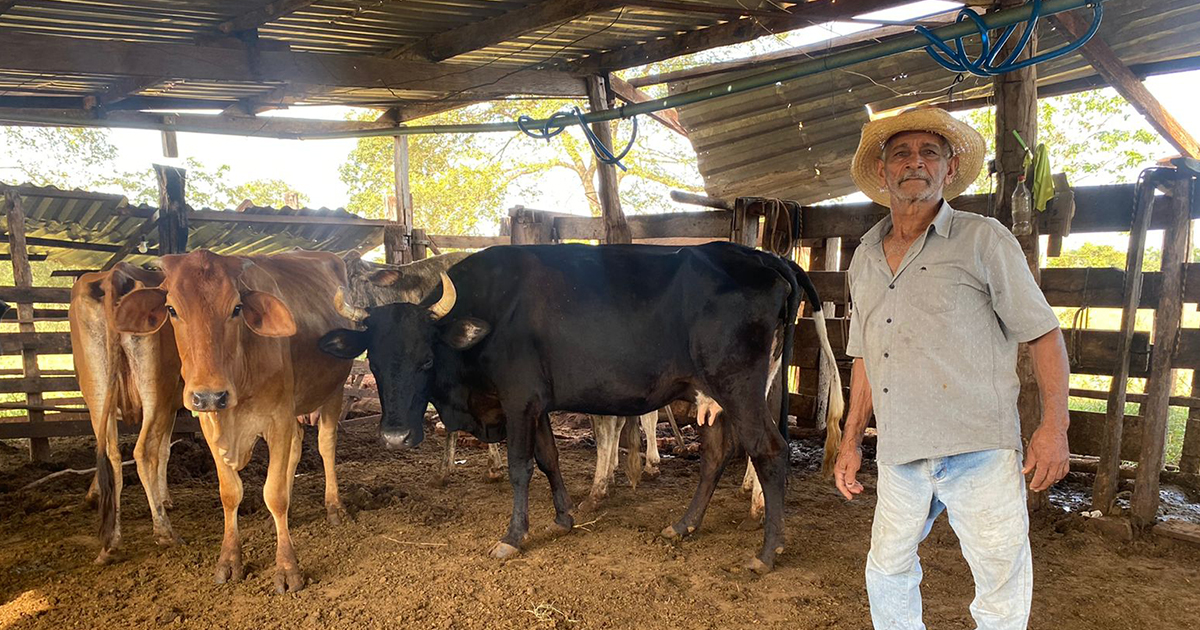 Supporting Livelihoods and the Environment through Sustainable Dairy ...