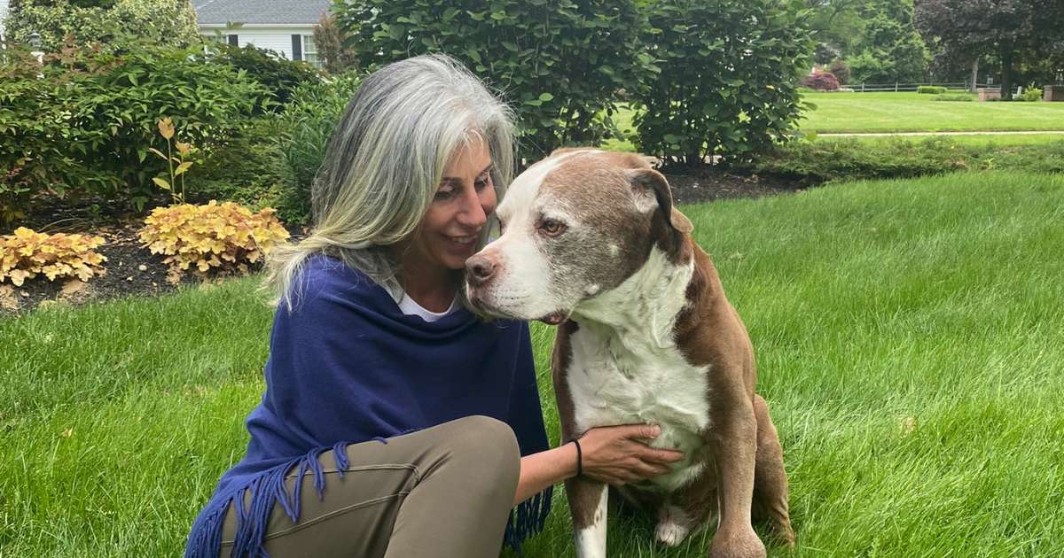 Look Deeper | Zoetis