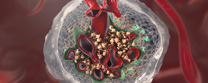On a quest to crack the kidney disease conundrum | Zoetis