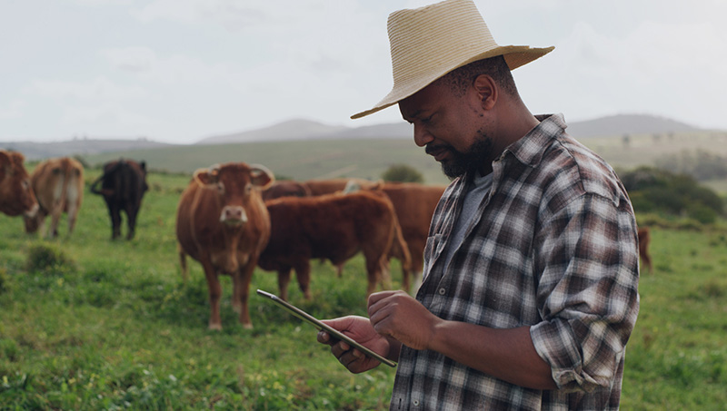 Zoetis Animal Health - Global Animal Health Company | Zoetis