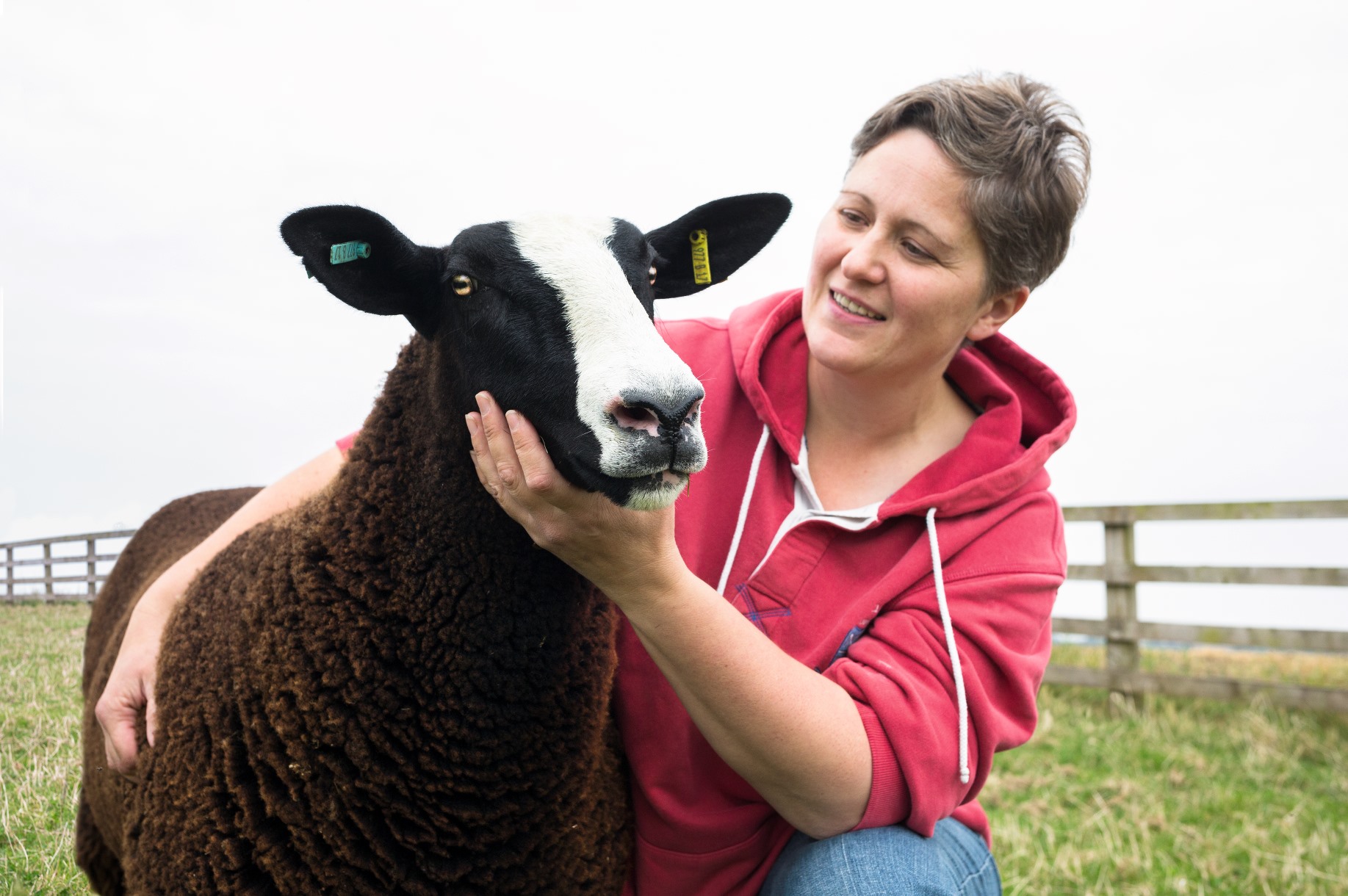 Zoetis Animal Health - Global Animal Health Company | Zoetis