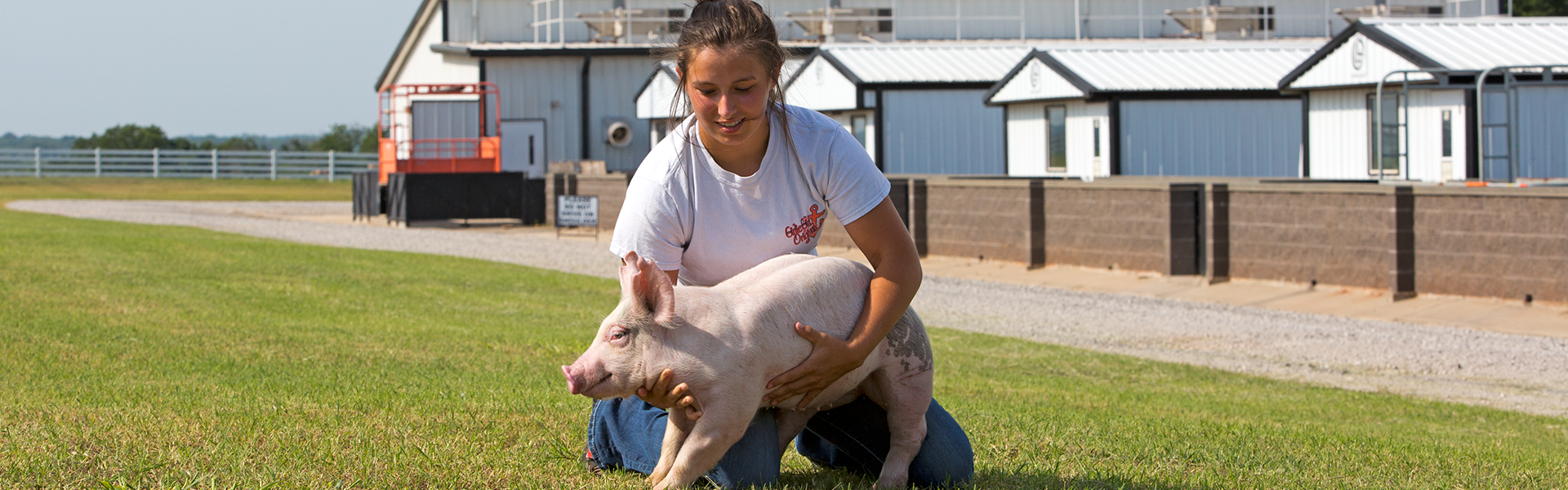 Where You Can Intern at Zoetis | Zoetis