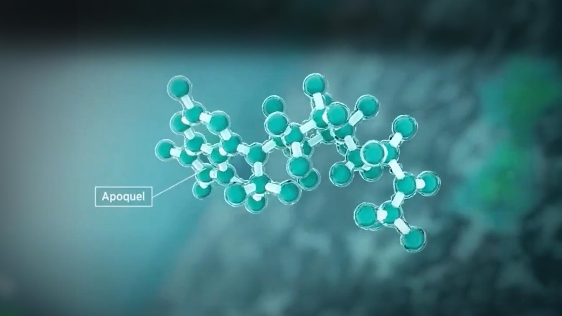 How it Works: Apoquel | Zoetis