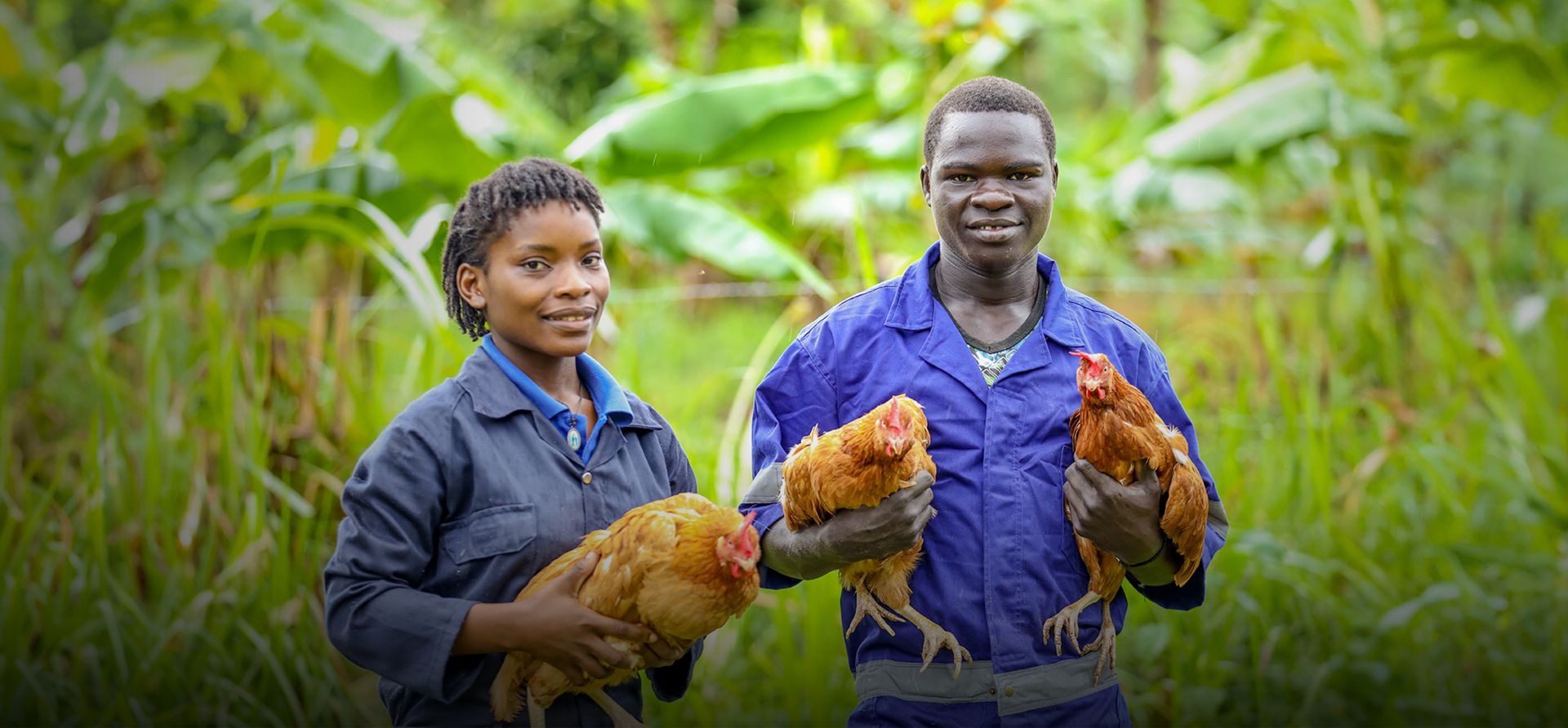 Access to Veterinary Care in Emerging Markets | Zoetis